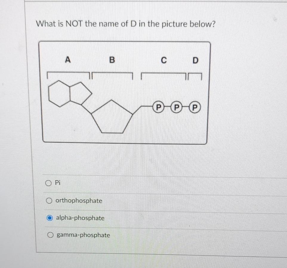 Solved What is NOT the name of D in the picture | Chegg.com