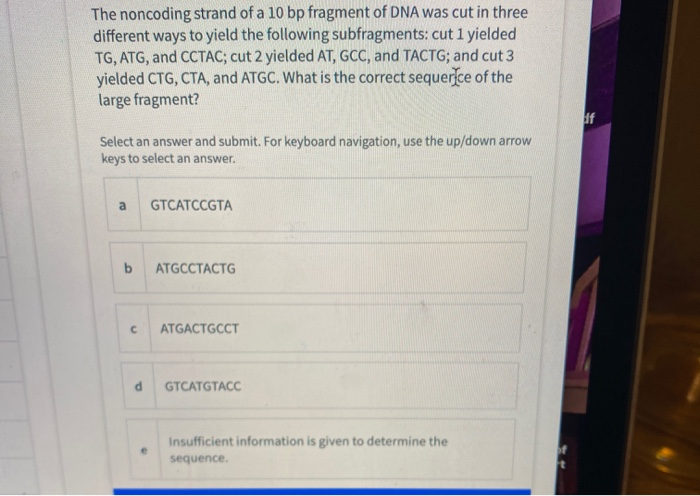 Solved The noncoding strand of a 10 bp fragment of DNA was | Chegg.com
