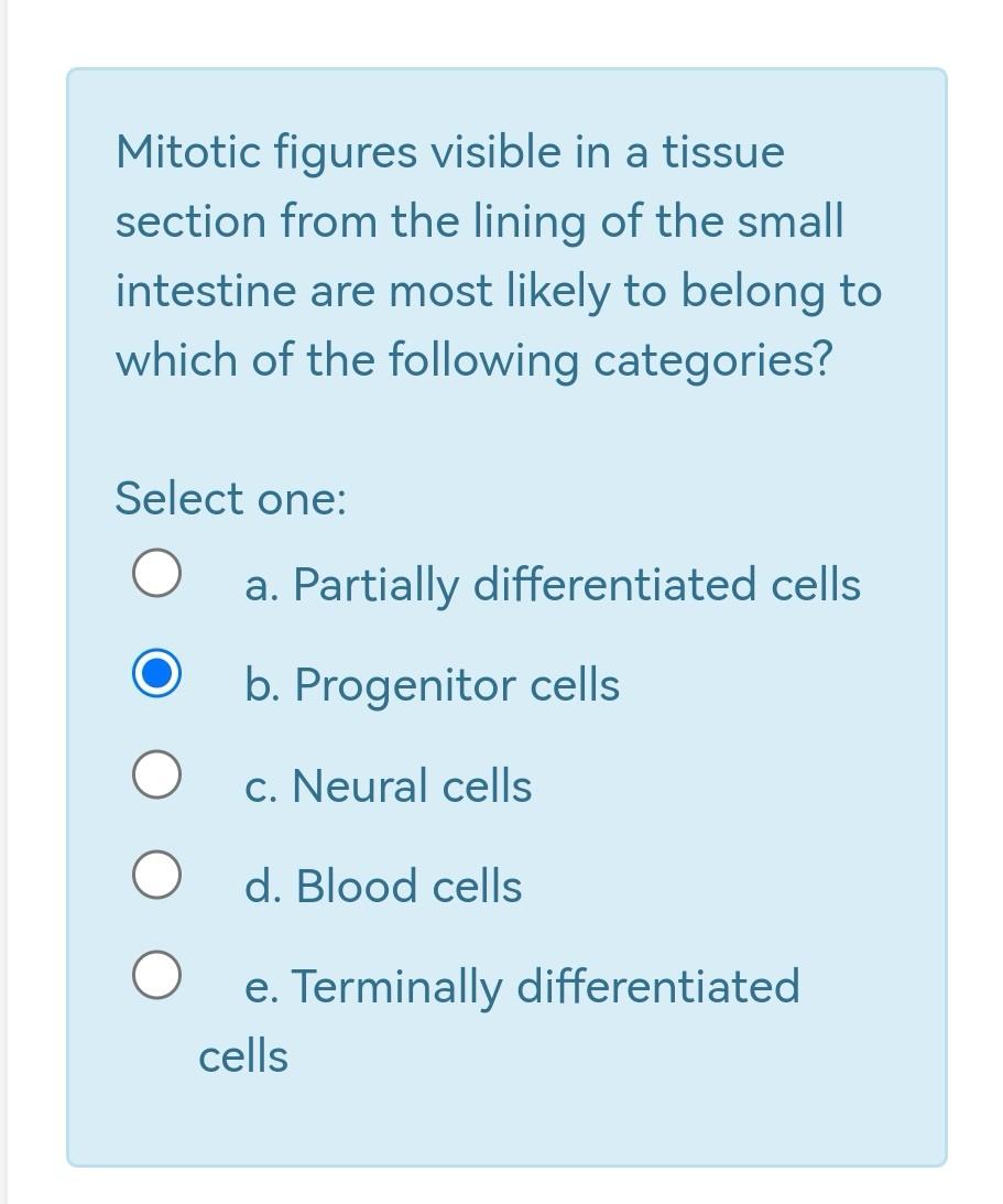Solved Mitotic figures visible in a tissue section from the | Chegg.com
