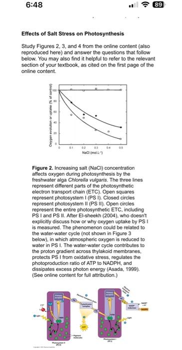 Solved Effects of Salt Stress on Photosynthesis Study | Chegg.com