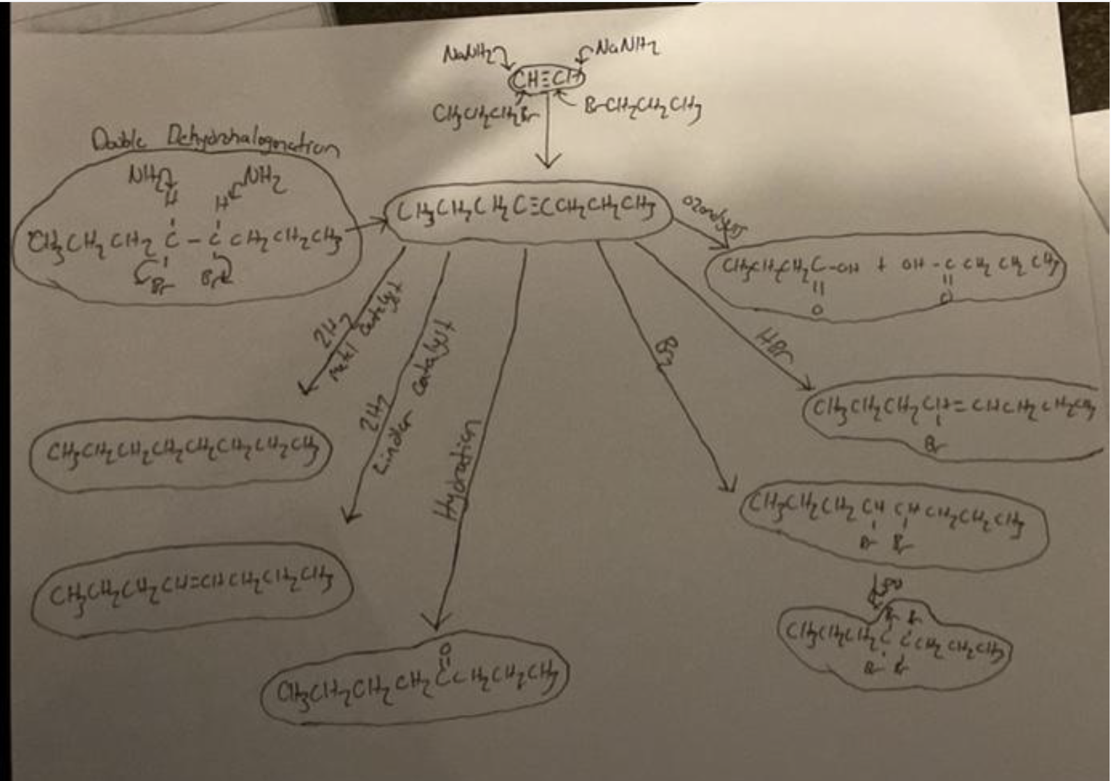 Solved The alkyne is 4-nonyne Please draw a concept map. For | Chegg.com