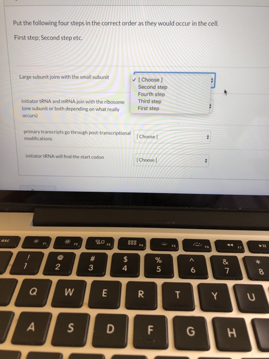 Solved Put the following four steps in the correct order as | Chegg.com