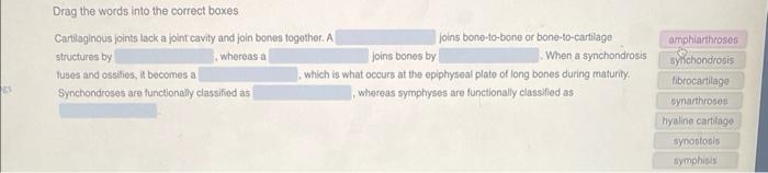Solved Drag the words into the corroct boxes Drag the words | Chegg.com