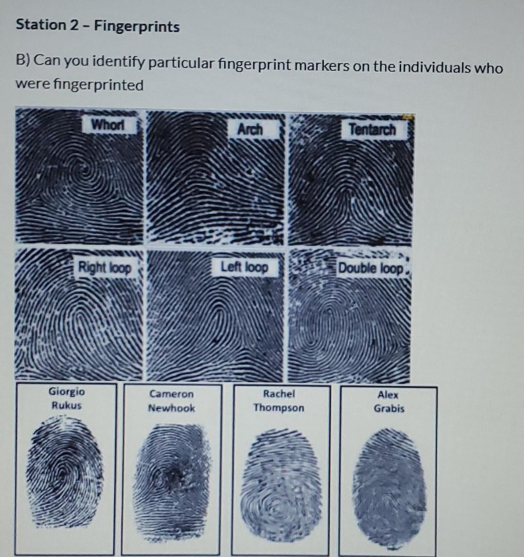 Solved The Case of Vedder River Killer Day 2: The Data | Chegg.com