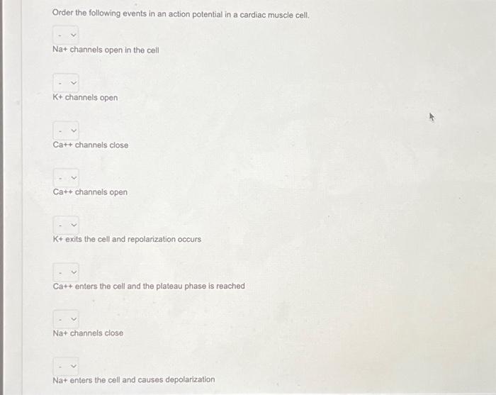 Solved Order the following events in an action potential in | Chegg.com