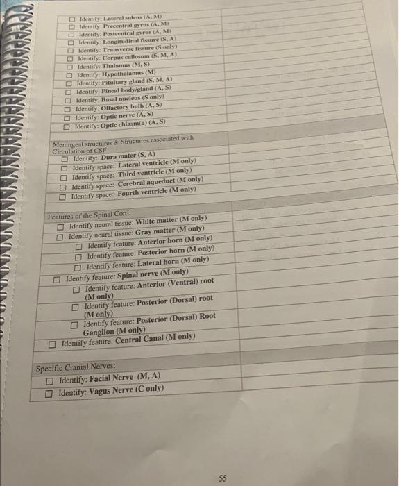 Solved Unit 2 Practical Exam Category: Skuilt Fontimelles of | Chegg.com
