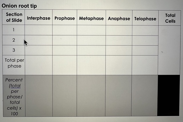 Solved 1) ﻿ Examine 100 ﻿cells of onion root, how many | Chegg.com