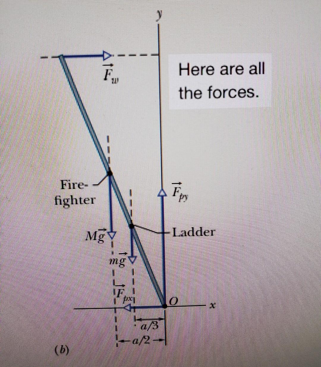 Solved A ladder of length L= 12.0 m and mass m = 42.0 kg | Chegg.com