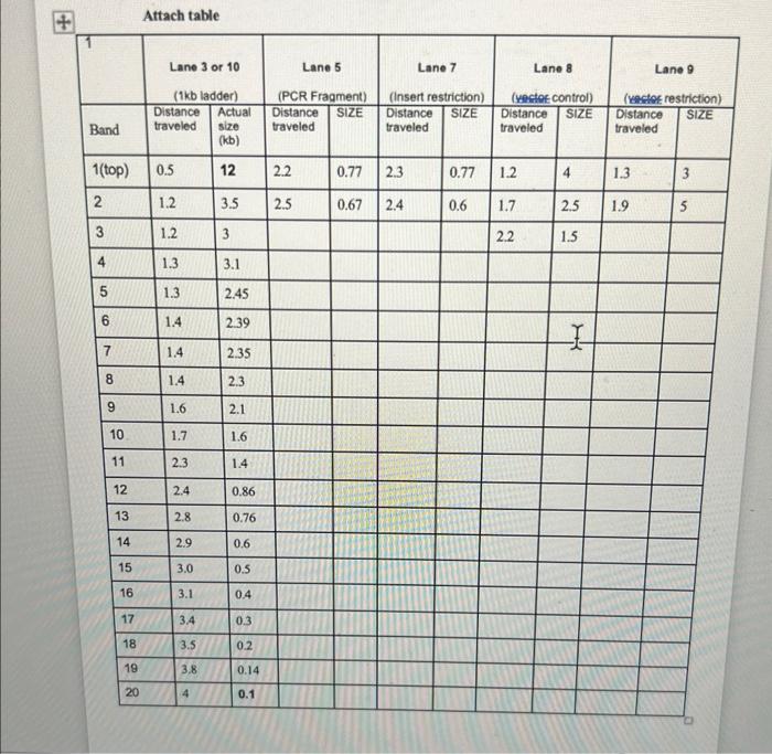 Solved please draw a log linear graph with standart | Chegg.com