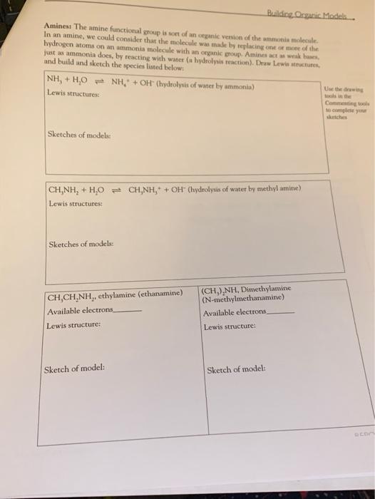 Solved Building Organic Models Amines: The amine functional | Chegg.com