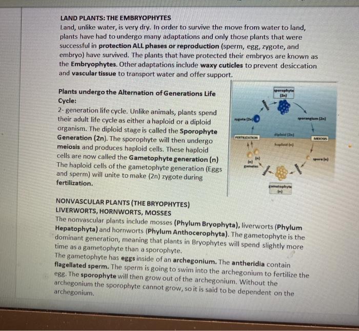 Solved Mnium is a Moss. Find a slide of Mnium male, female | Chegg.com