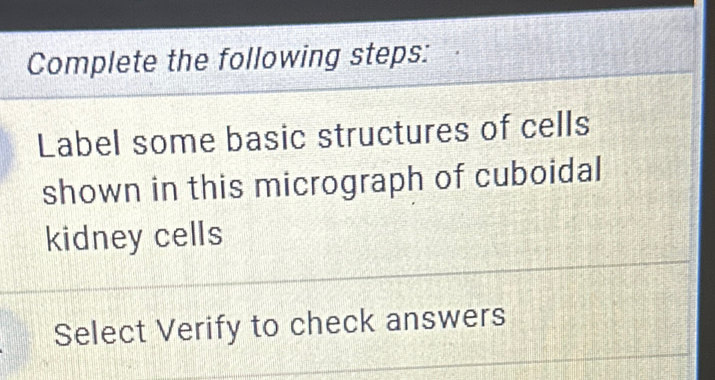 Solved Complete the following steps:Label some basic | Chegg.com
