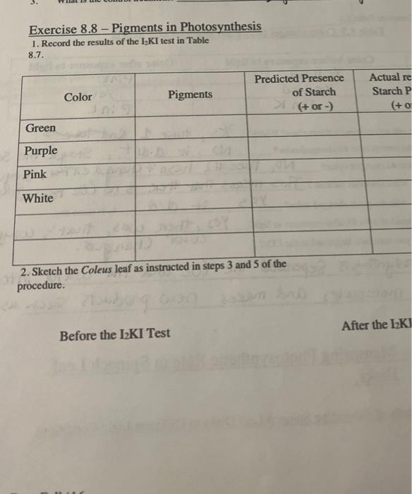 Exercise 8.8 -Pigments in Photosynthesis 1. Record | Chegg.com