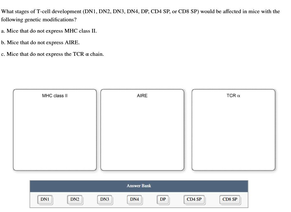 Solved What stages of T-cell development (DN1, ﻿DN2, ﻿DN3, | Chegg.com