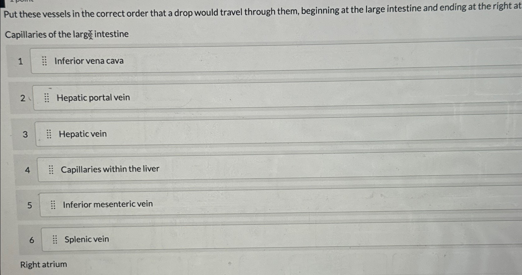 Solved Put these vessels in the correct order that a drop | Chegg.com