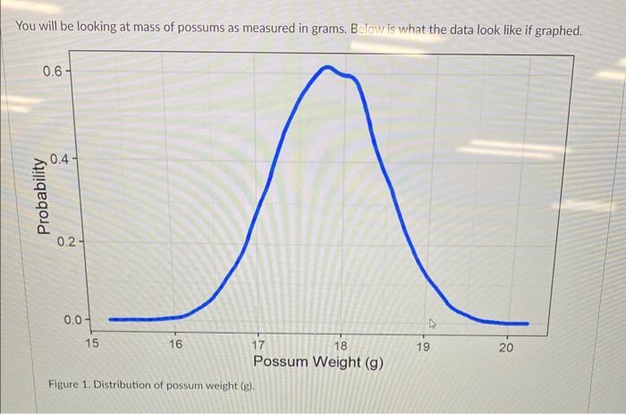 Solved You will be looking at mass of possums as measured in | Chegg.com