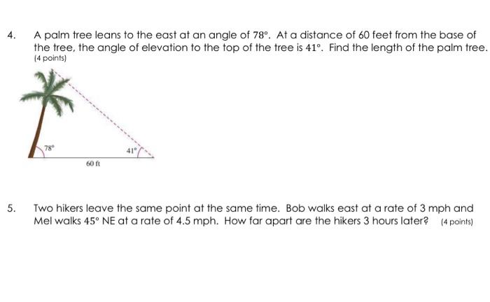 Solved A palm tree leans to the east at an angle of 78∘. At | Chegg.com