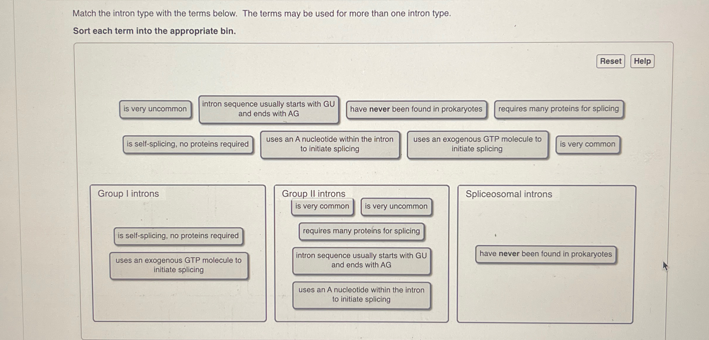 Solved Match the intron type with the terms below. The terms | Chegg.com