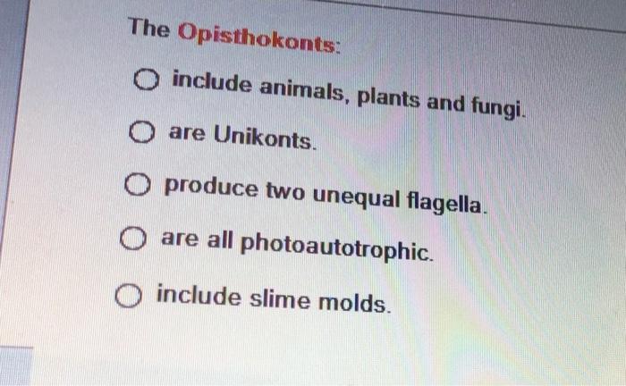 Solved The Opisthokonts: o include animals, plants and | Chegg.com