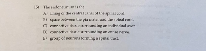 Solved 15) The endoneurium is the A) lining of the central | Chegg.com