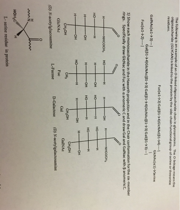 Solved The following is an example of an O-linked | Chegg.com