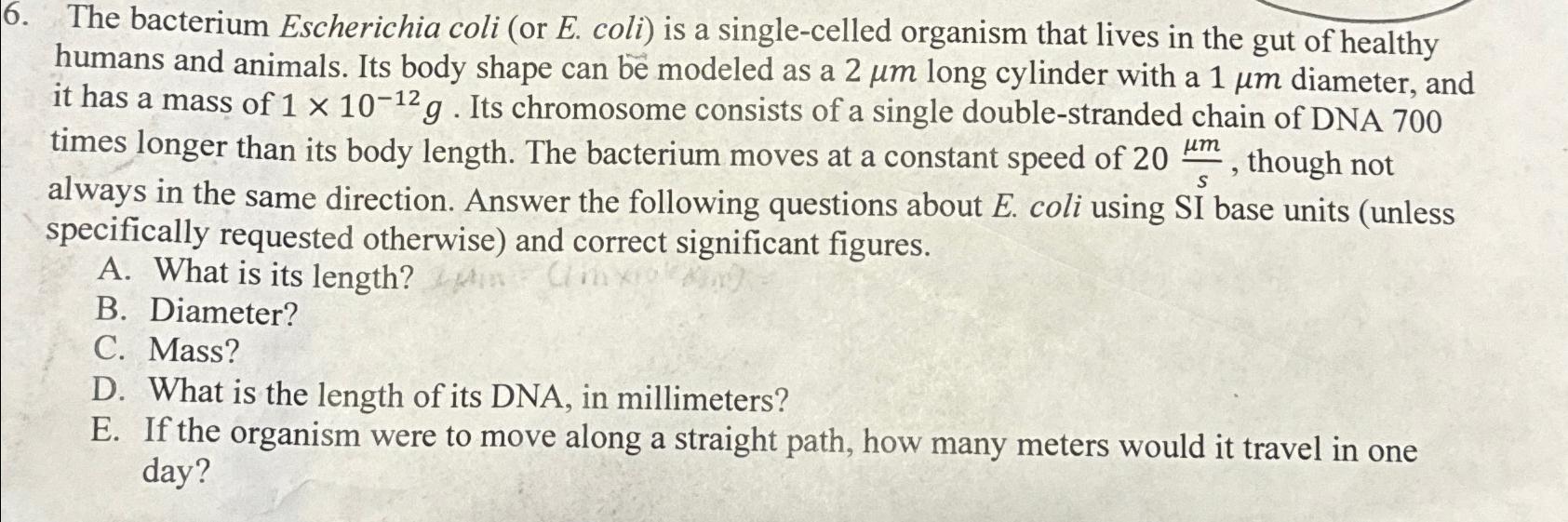 Solved The bacterium Escherichia coli ( ﻿or E. ﻿coli) ﻿is a | Chegg.com
