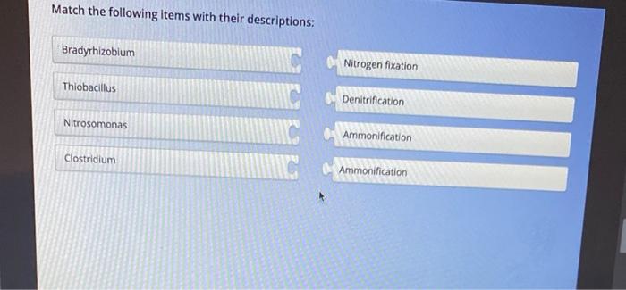 Solved Match the following items with their descriptions: | Chegg.com
