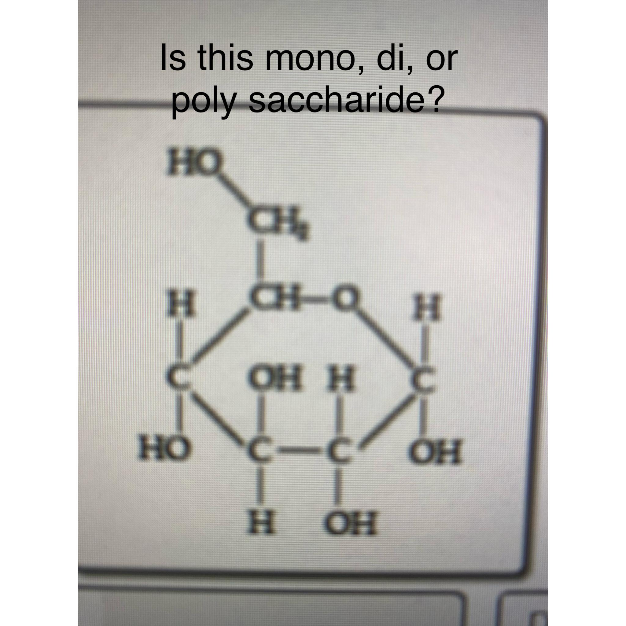 Solved Is this mono, di, or poly saccharide? | Chegg.com Solved Is this mono, di, or poly saccharide? | Chegg.com