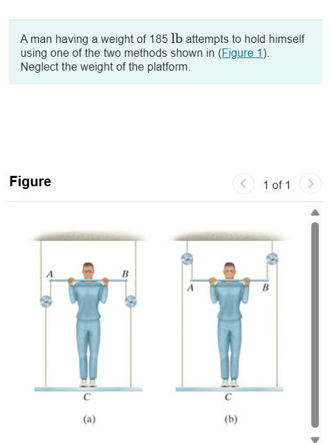 Solved A man having a weight of 185 lb ﻿attempts to ﻿hold | Chegg.com