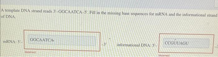 Solved A template DNA strand reads 3'-GGCAATCA-5: Fill in | Chegg.com