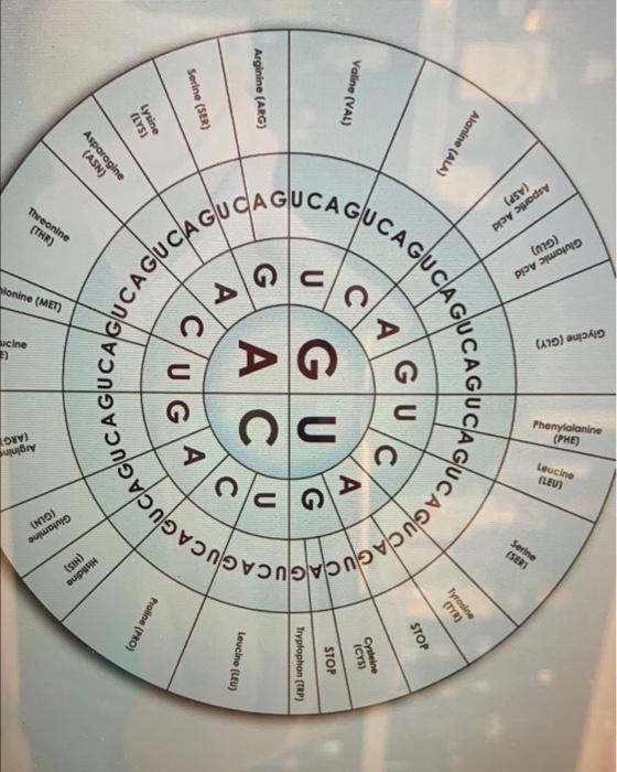 GENETIC CODE CHART Below is the standard genetic | Chegg.com