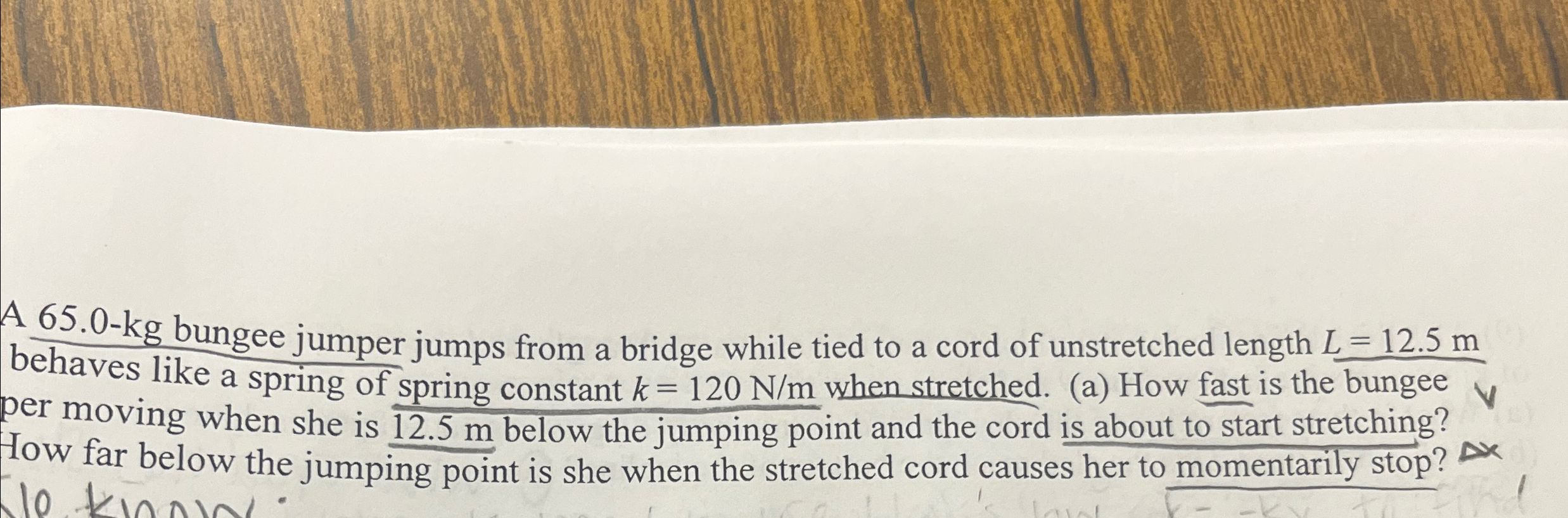 Solved A 65.0-kg ﻿bungee jumper jumps from a bridge while | Chegg.com