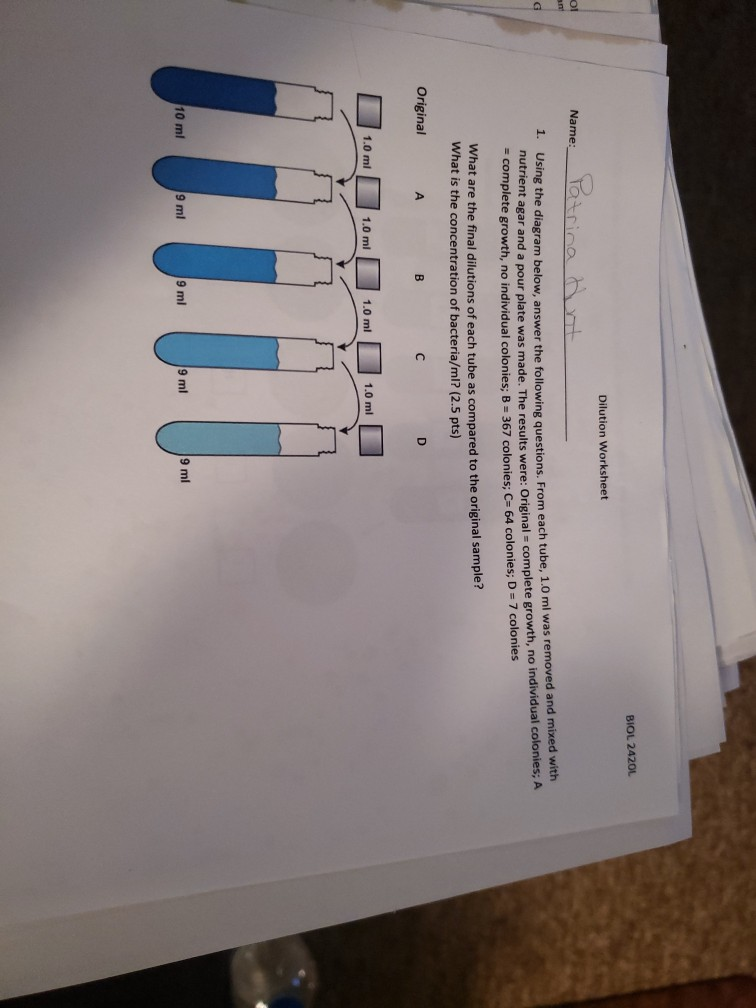 Solved BIOL 2420L Dilution Worksheet ol Name: Patrina tunt G | Chegg.com