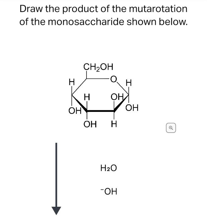 Solved Draw the product of the mutarotation of the | Chegg.com