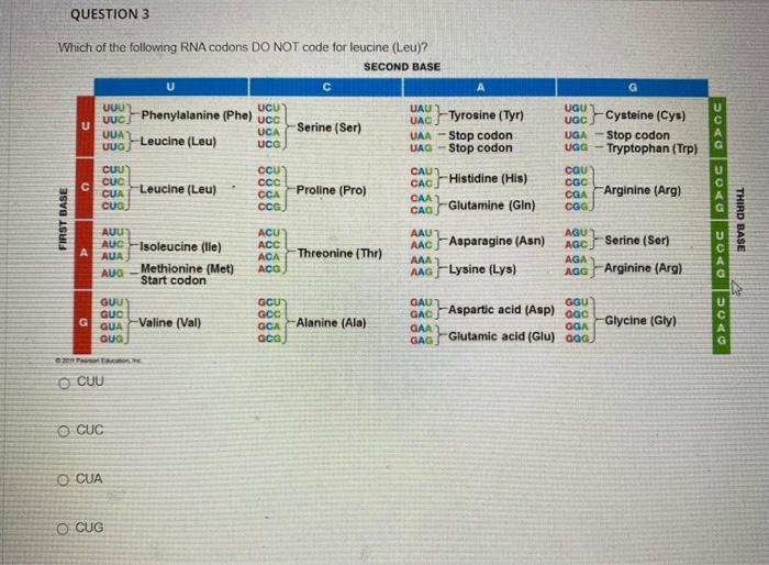 Solved QUESTION 3 Which of the following RNA codons DO NOT | Chegg.com