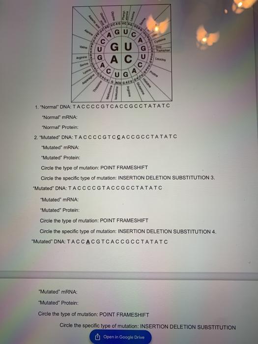 Solved U GUG GAC CAUG Soroc ACU GACH 1. "Normal DNA: | Chegg.com