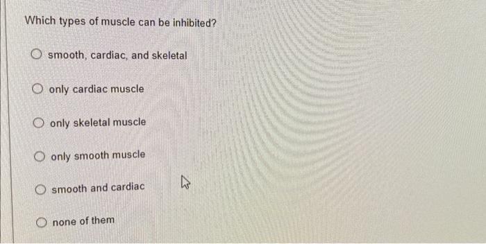 Solved Which types of muscle can be inhibited? smooth, | Chegg.com