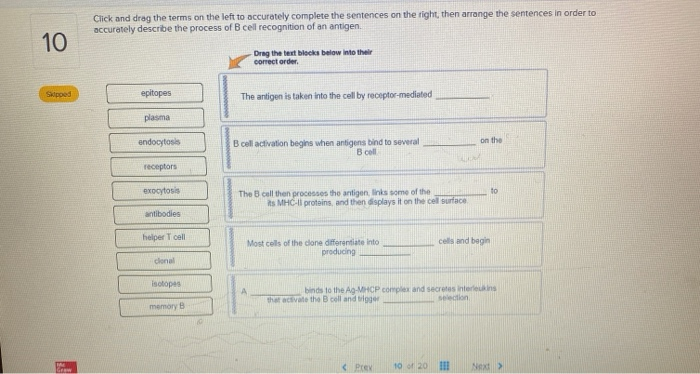 Solved Click and drag the terms on the left to accurately | Chegg.com