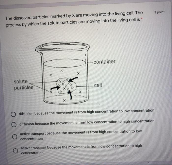 Solved 1 point The dissolved particles marked by X are | Chegg.com