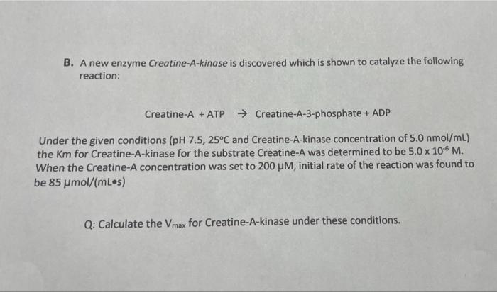 Solved B. A new enzyme Creatine-A-kinase is discovered which | Chegg.com