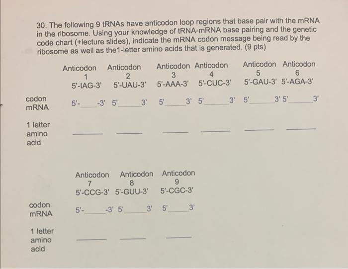 Solved 30. The following 9 tRNAs have anticodon loop regions | Chegg.com