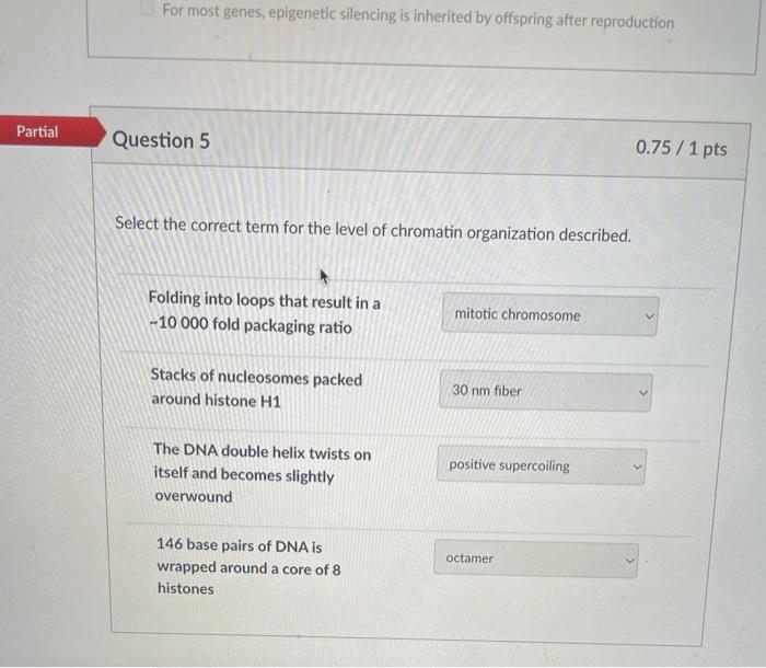 Solved For most genes, epigenetic silencing is inherited by | Chegg.com