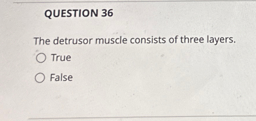 Solved QUESTION 36The detrusor muscle consists of three | Chegg.com