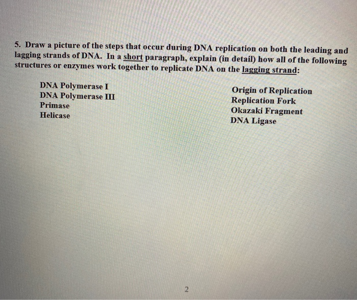 Solved 5. Draw a picture of the steps that occur during DNA | Chegg.com