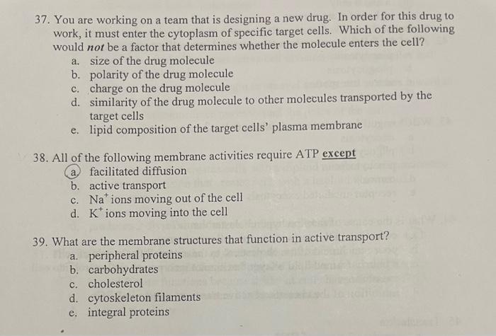 Solved 37. You are working on a team that is designing a new | Chegg.com