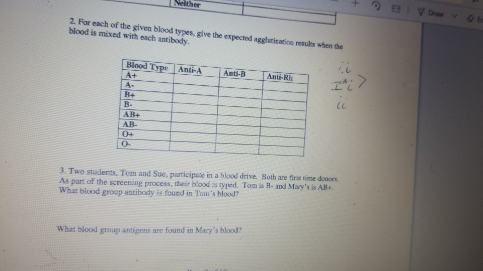 Solved CLASS DATA TABLE FOR BLOOD TYPING Sample 1 Sample 2 | Chegg.com