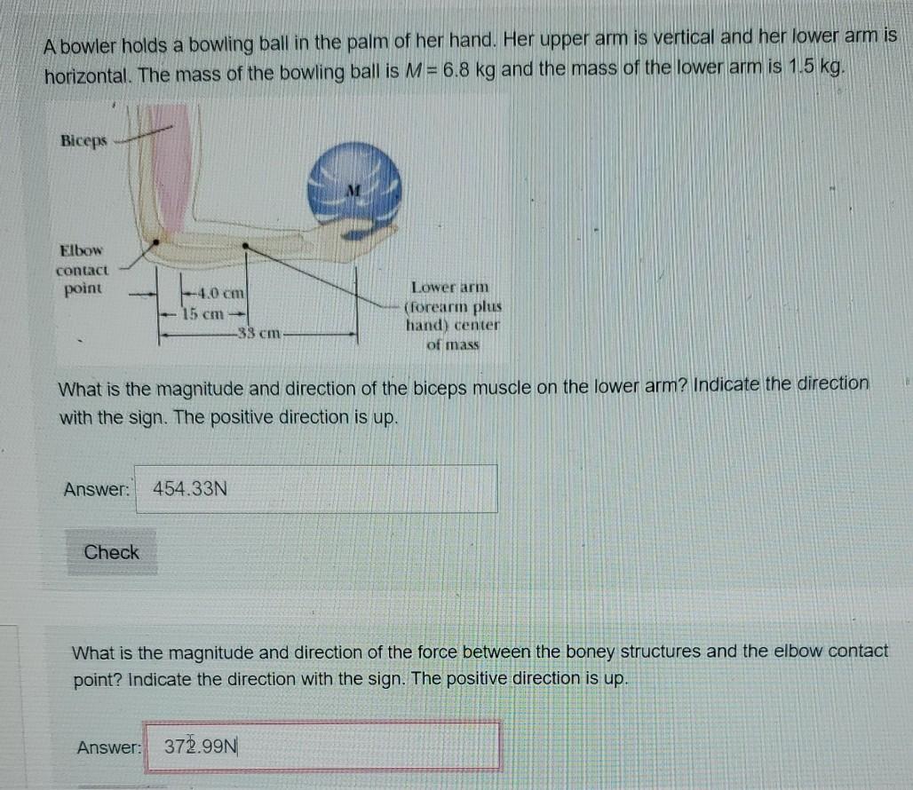 Solved A bowler holds a bowling ball in the palm of her | Chegg.com