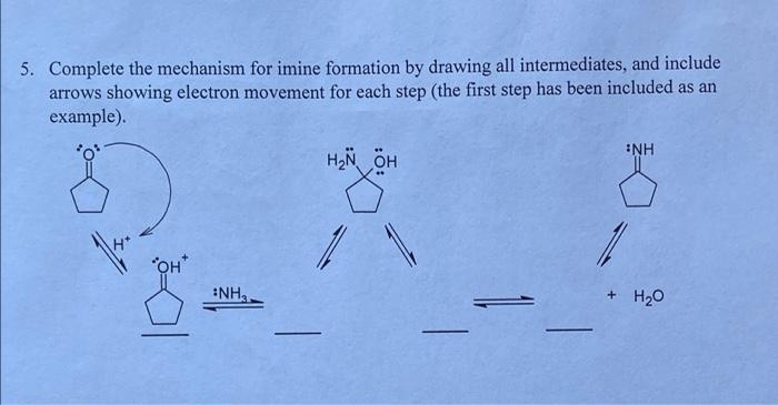 Solved 5. Complete the mechanism for imine formation by | Chegg.com