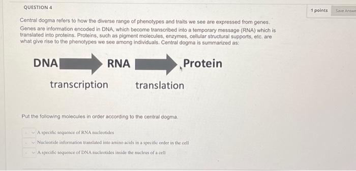 Solved Central dogma refers to how the diverse range of | Chegg.com