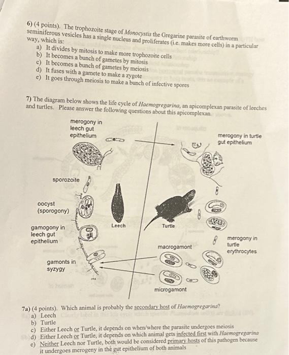 Solved 6) (4 points). The trophozoite stage of Monocystis | Chegg.com